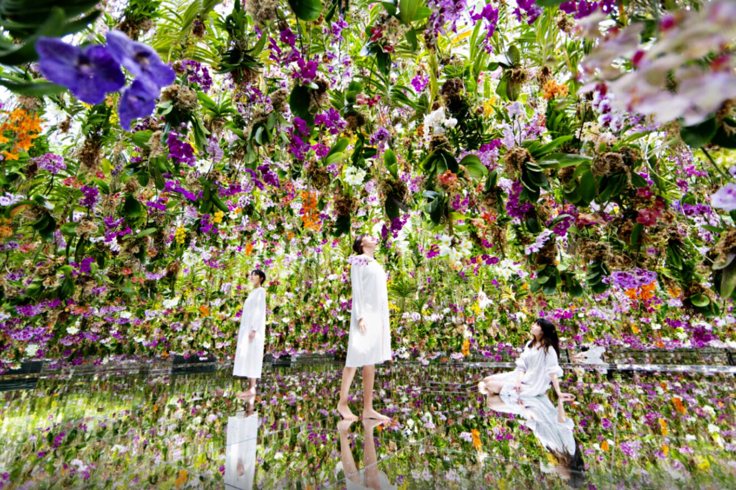 The Perfect 4-Day Tokyo Itinerary: Tokyo Travel Guide