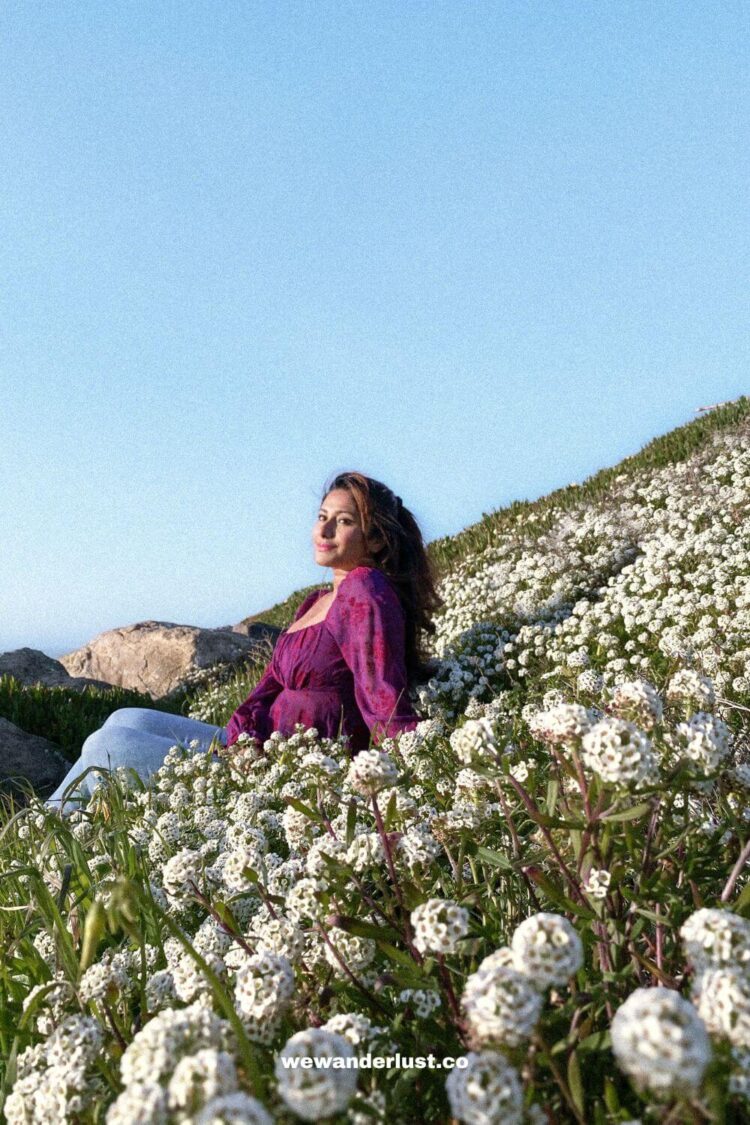 Where To See Spring Flowers in the Bay Area? No. 4 is our Favorite ...