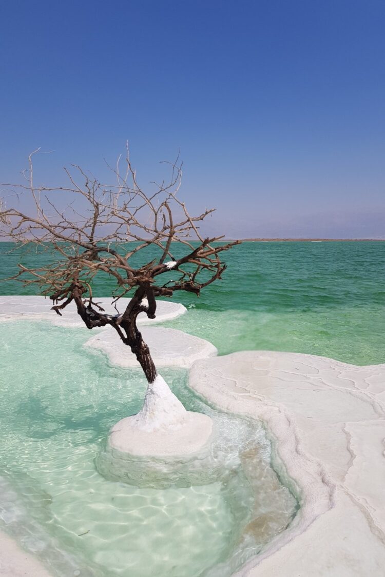 100 Extraordinary Bucket List Ideas for the Adventure of a Lifetime ...